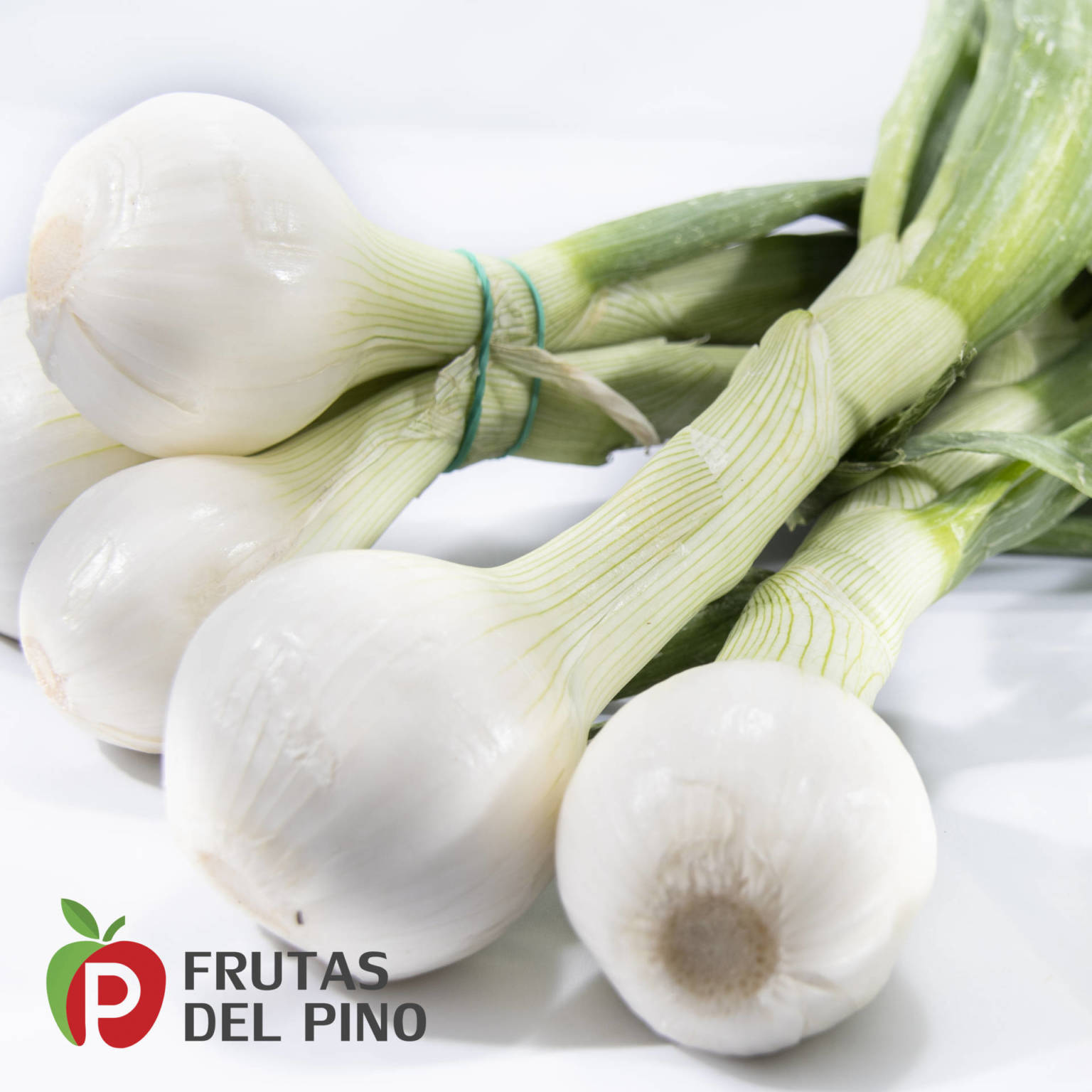 Cebolleta - Frutas Frutasdelpino
