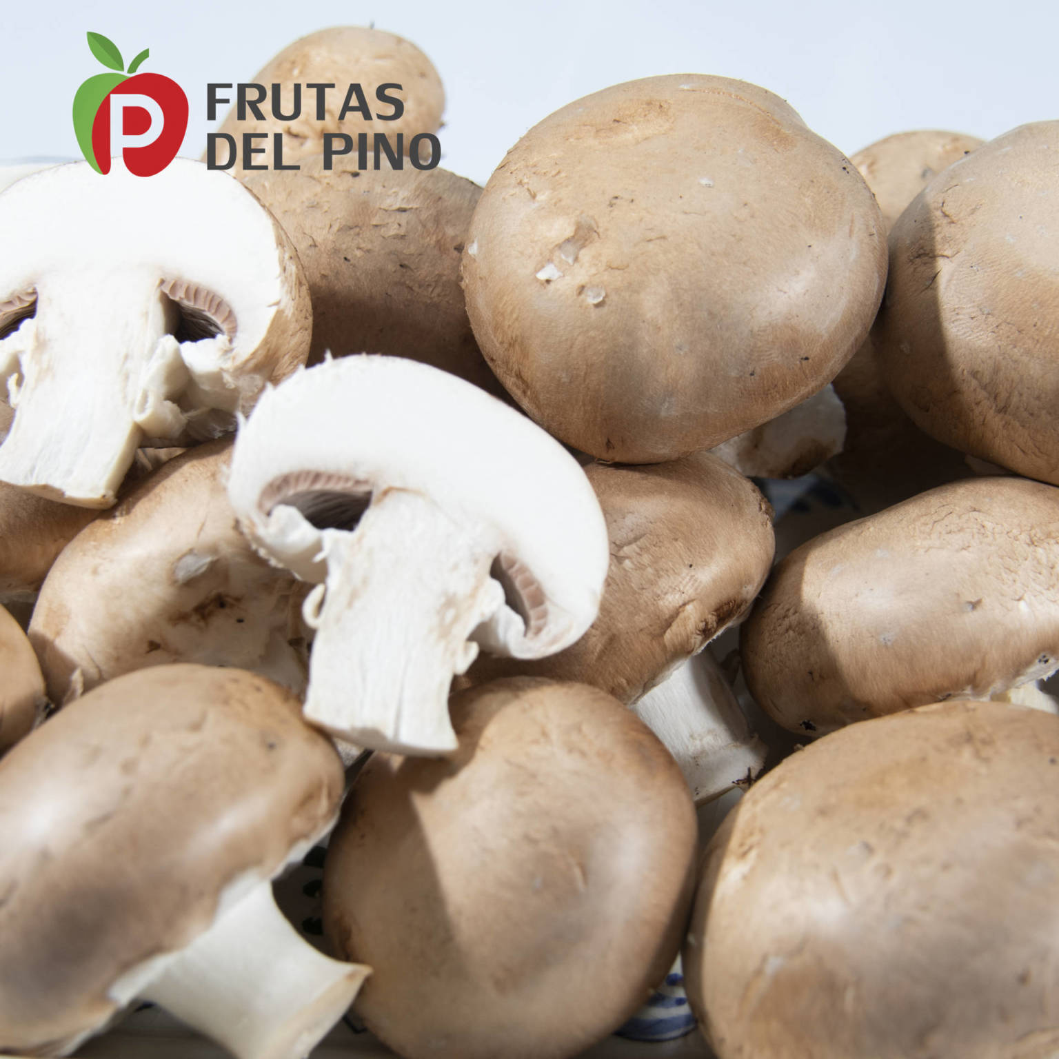 Champiñones - Frutas del Pino