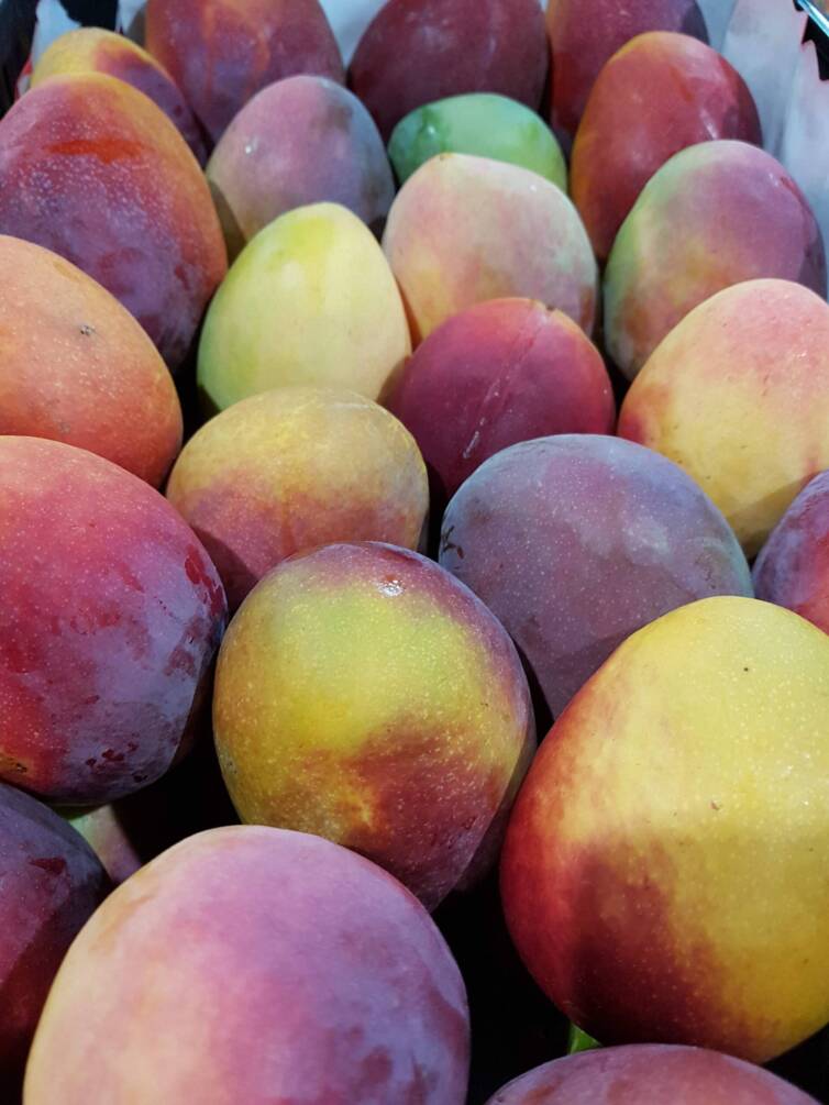 Irwin, el mango - Frutas Frutasdelpino